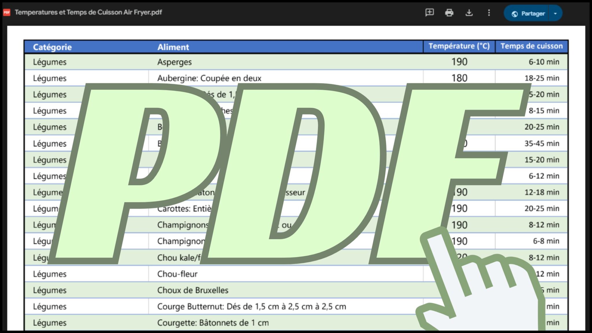 Cuisiner à l’Air Fryer : le Guide Complet (PDF inclus)